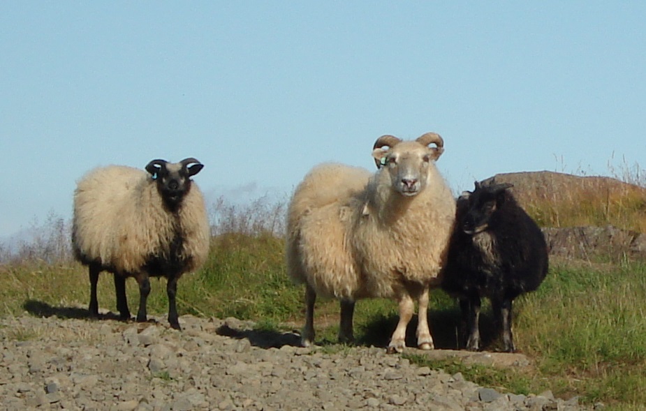 God Ullur Öndurás – Óðsmál